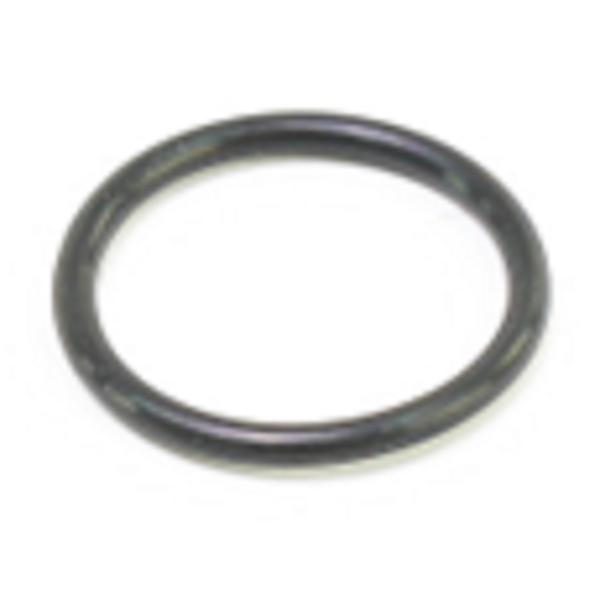 DriSteem 300400-007 O Ring – GSIstore
