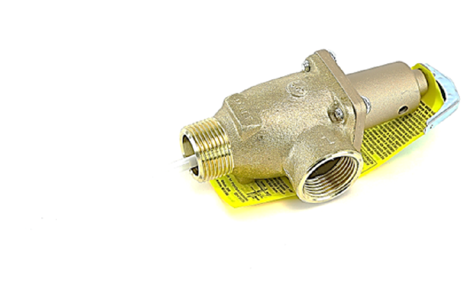 Watts 0556008 Valve – GSIstore