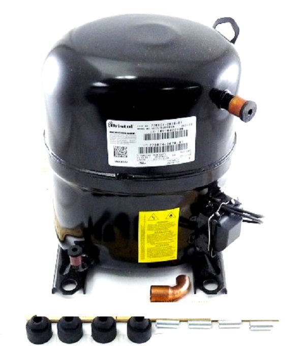 Rheem-Ruud 55-25200-35S Compressor – GSIstore