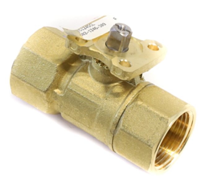Johnson Controls VG1245CL Valve – GSIstore