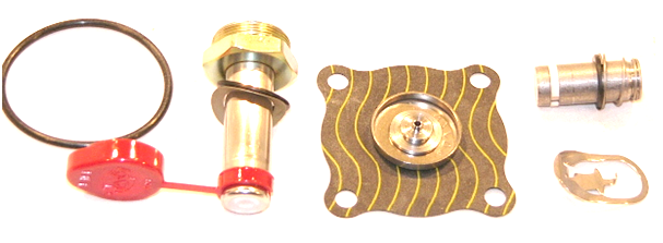 ASCO 302-273-P Rebuild Kit – GSIstore